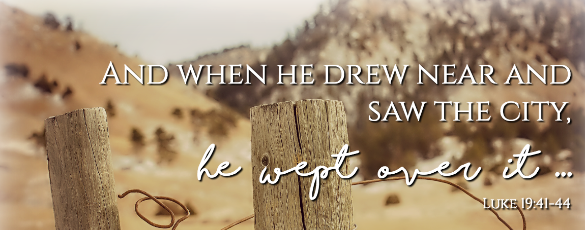 Lucruri pentru care plângea Isus… | Gânduri pentru viața de aici...